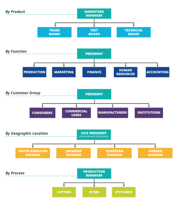 A Simple Guide to Organizational Charts for Small Business Owners