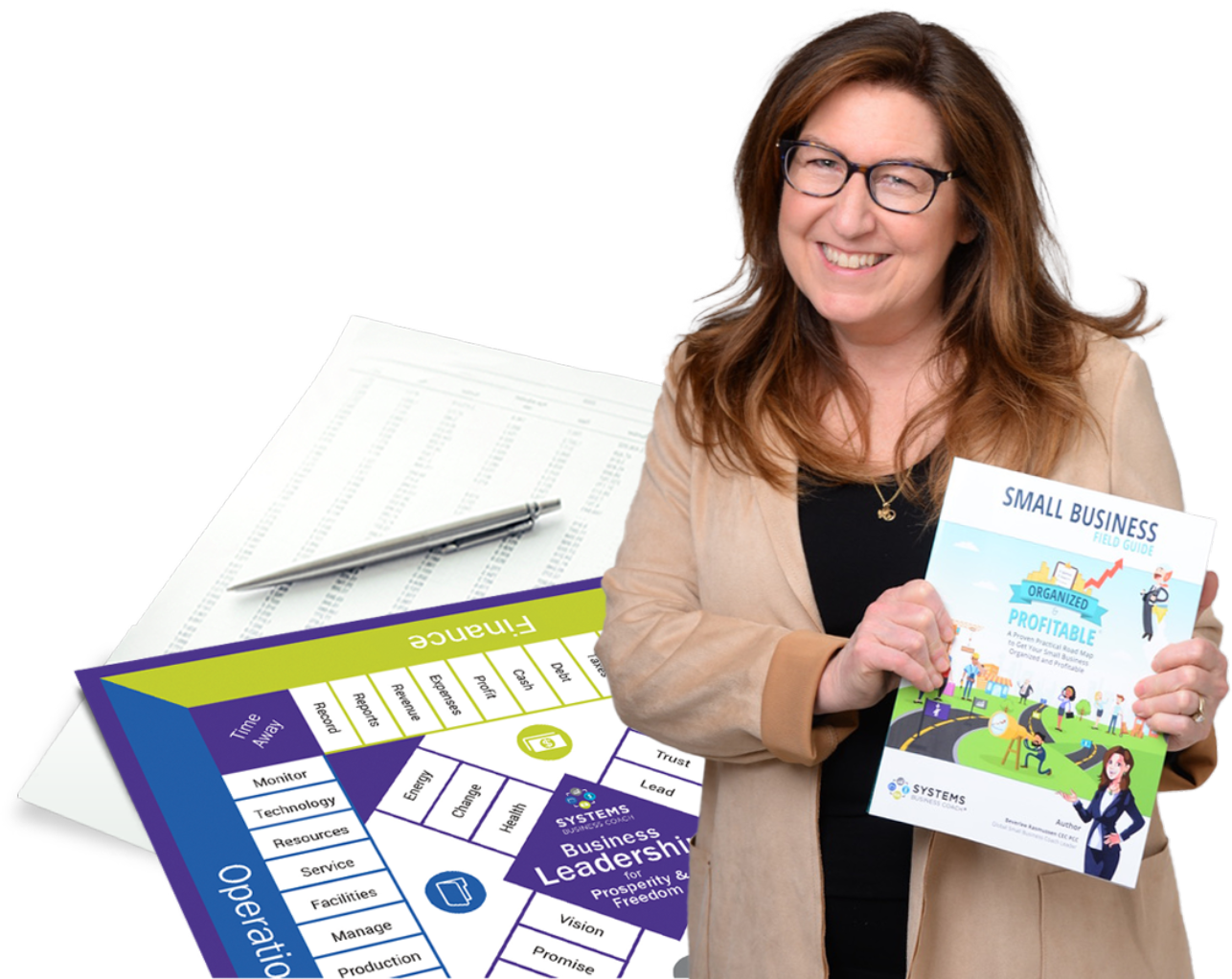 Small Business Coaching Systems that Work | Systems Business Coach